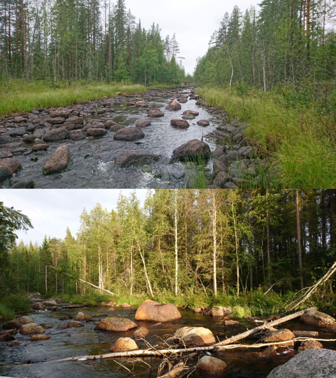 River Restoration Follow-up